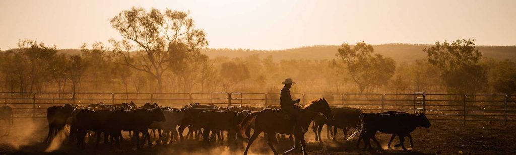 9 Night Outback Tag Along Tour -Travel West Outback Australia