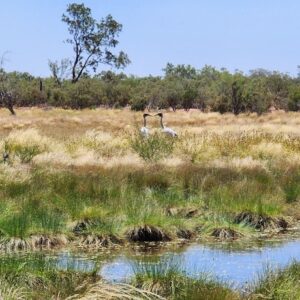 9 Night Outback Tag Along Tour -Travel West Outback Australia